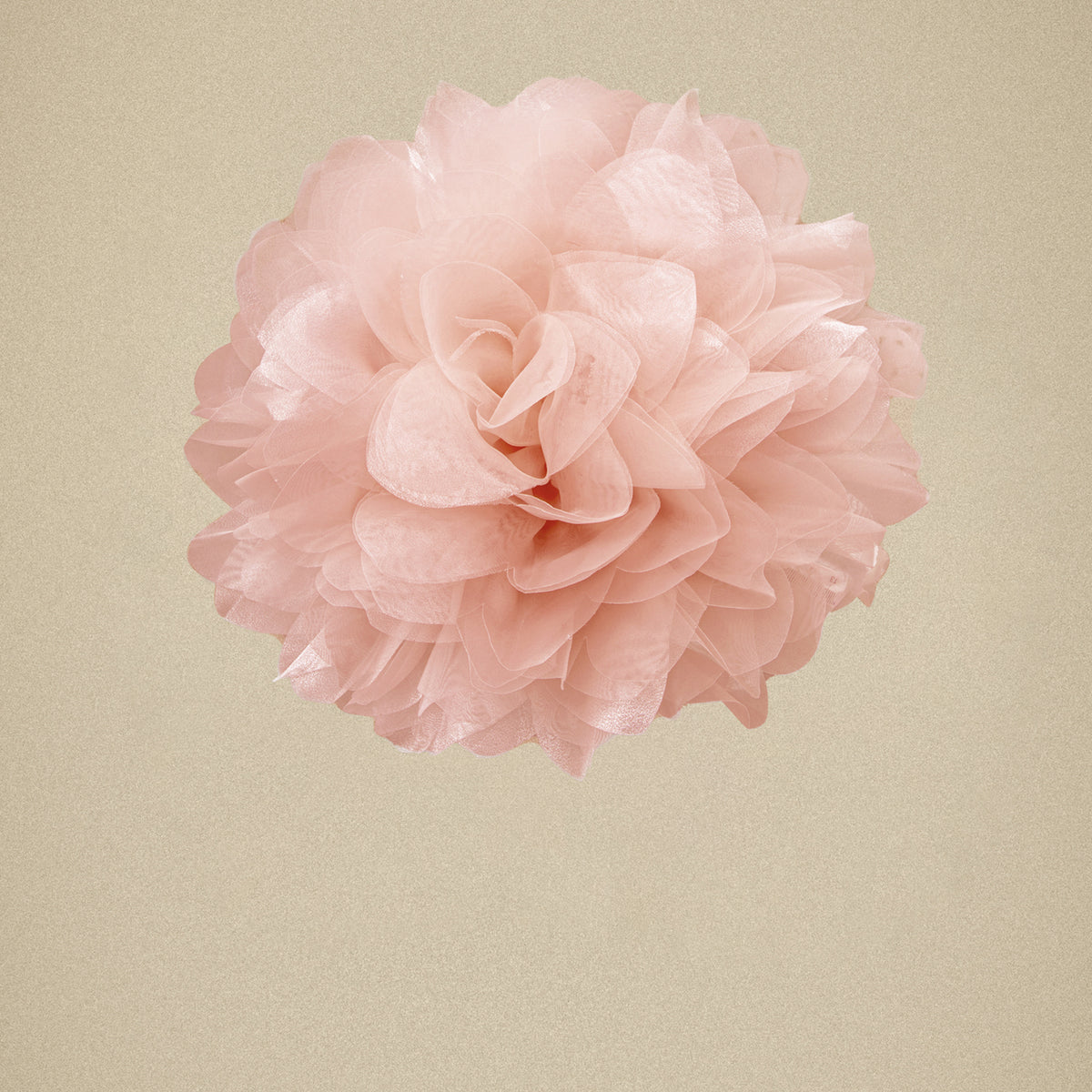 Shop Fascinator - Fluffy Mesh Headband Fascinator | BABEYOND